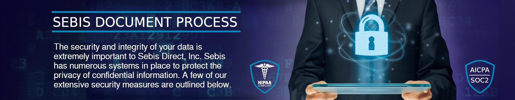 Sebis - Security Process